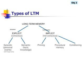 LTM structure | PPTX