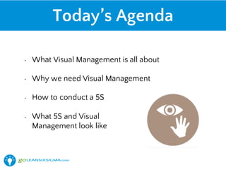 Harnessing The Power of 5S and Visual Management with GoLeanSixSigma.com