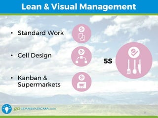 WEBINAR: Harnessing the Power of 5S and Visual Management | PPTX