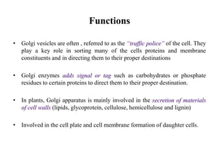 Golgi apparatus | PPTX