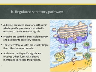 golgi apparatus structure and function.pptx