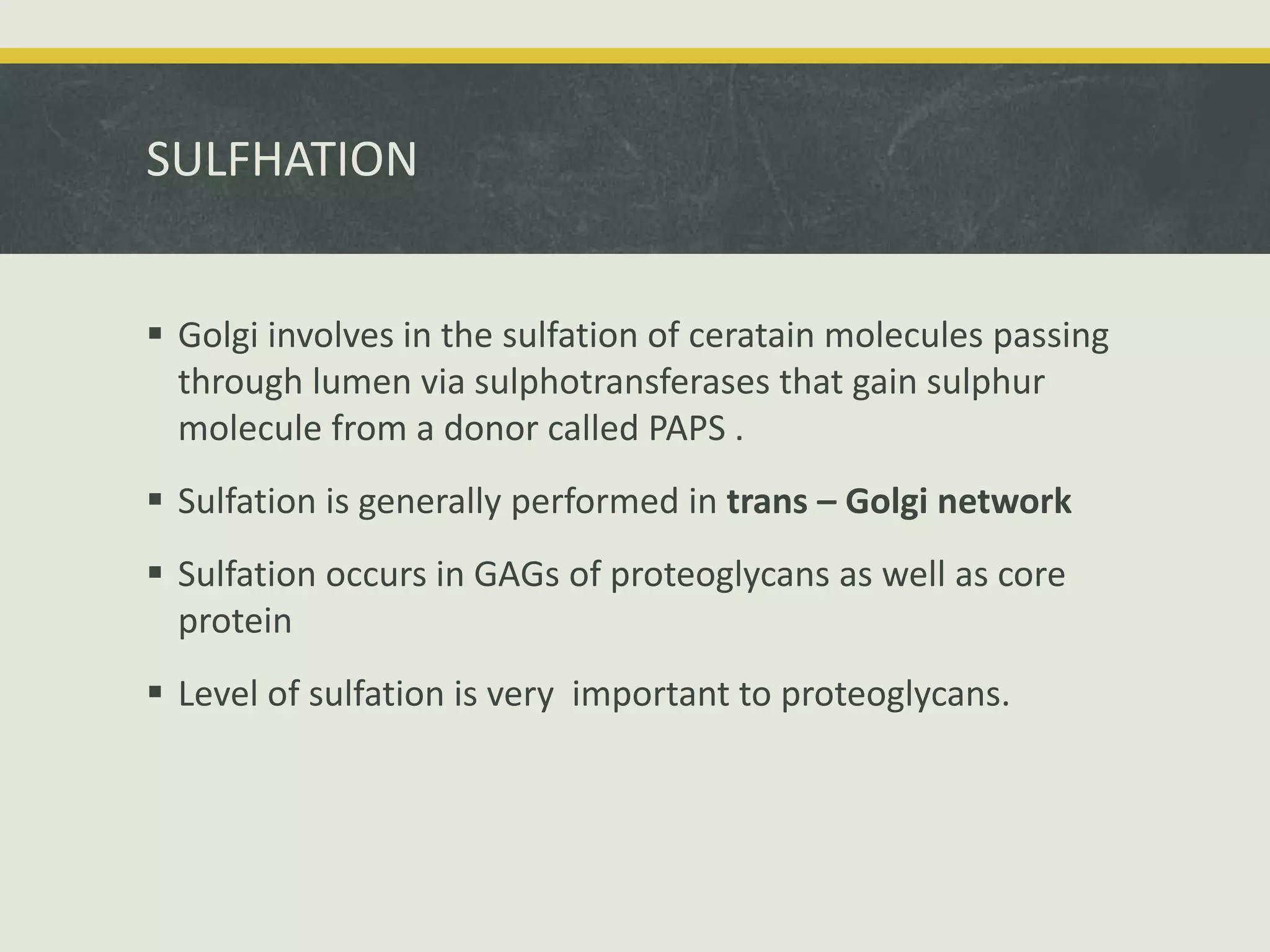 Golgi apparatus ppt (introduction structure and Function) | PPTX