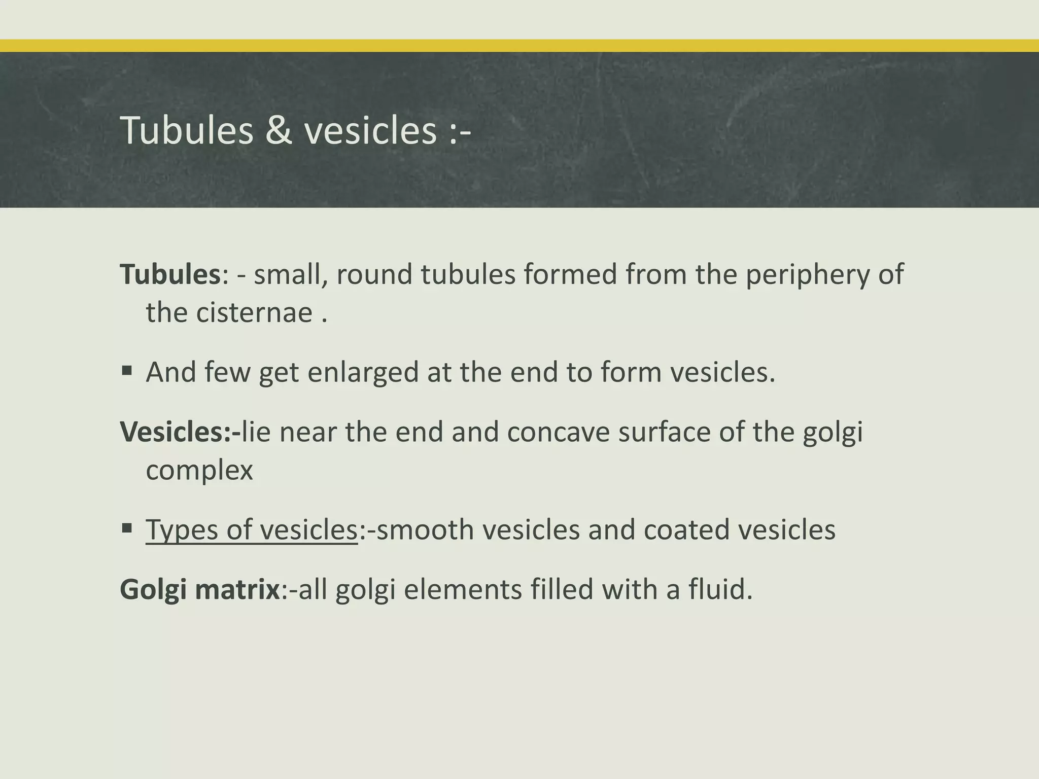 Golgi apparatus ppt (introduction structure and Function) | PPTX