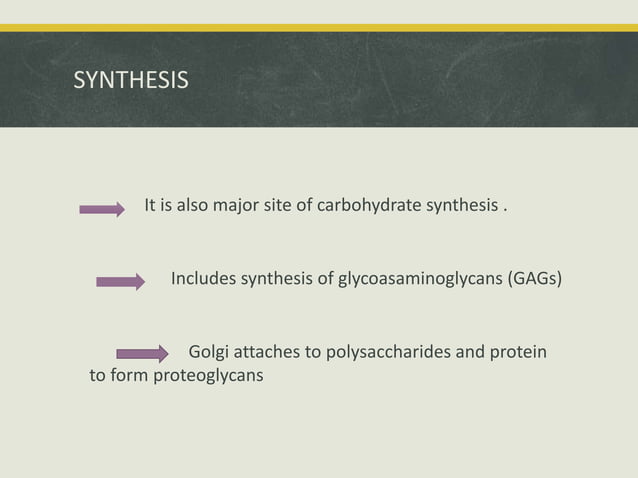 Golgi apparatus ppt (introduction structure and Function) | PPTX