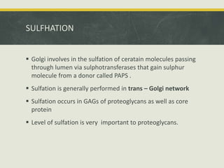Golgi apparatus ppt (introduction structure and Function) | PPTX