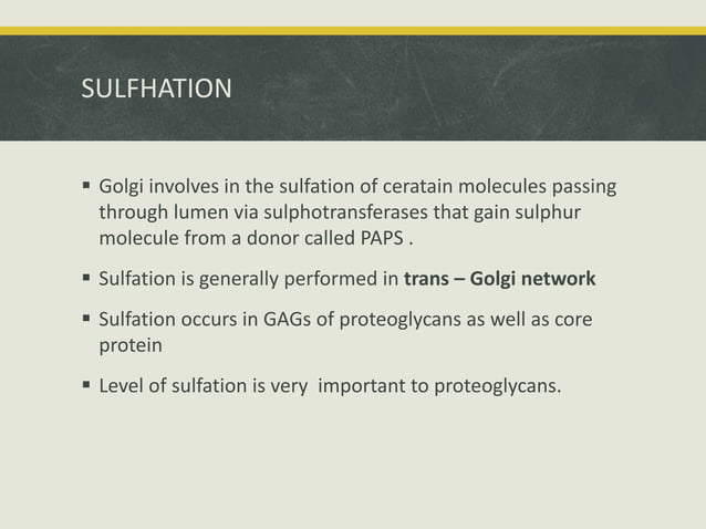 Golgi apparatus ppt (introduction structure and Function) | PPTX