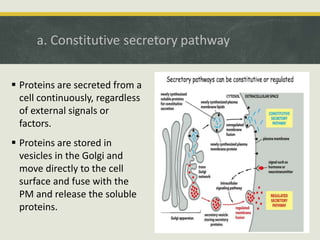 Golgi apparatus ppt (introduction structure and Function) | PPTX
