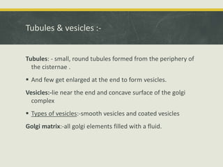 Golgi apparatus ppt (introduction structure and Function) | PPTX