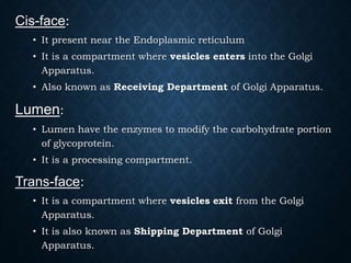 Golgi apparatus | PPTX
