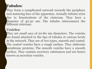 Golgi apparatus | PPTX