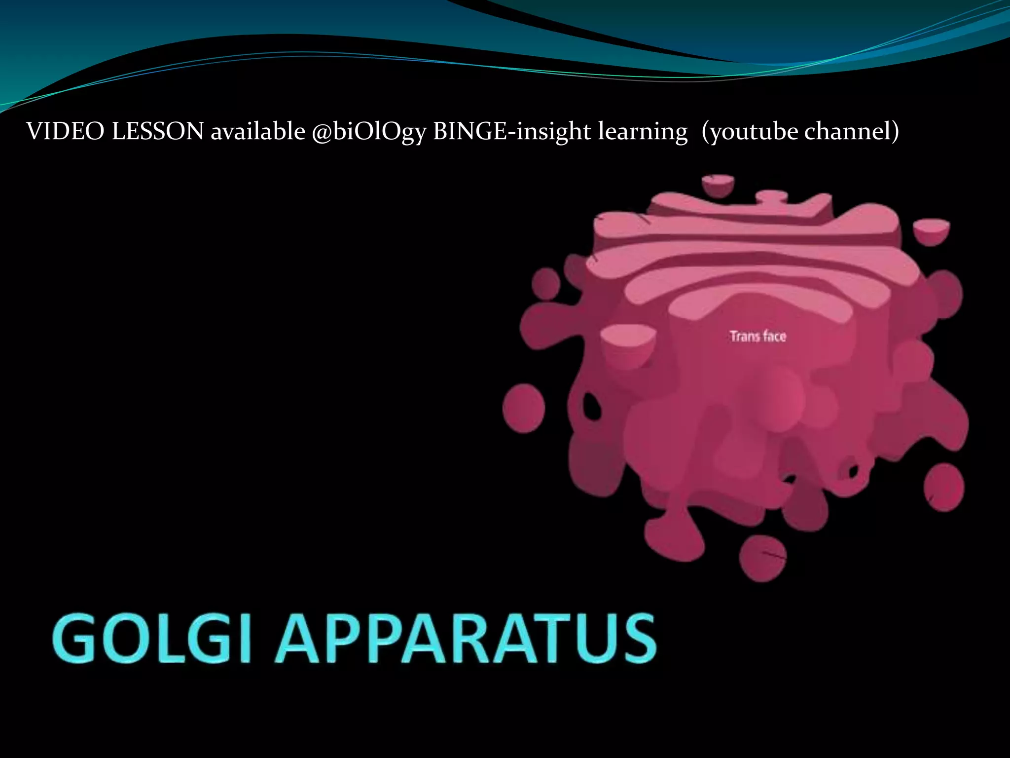 Golgi apparatus | PPTX
