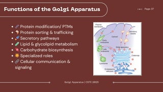 GOLGI APPARATUS cell organelle biology cell biology | PDF