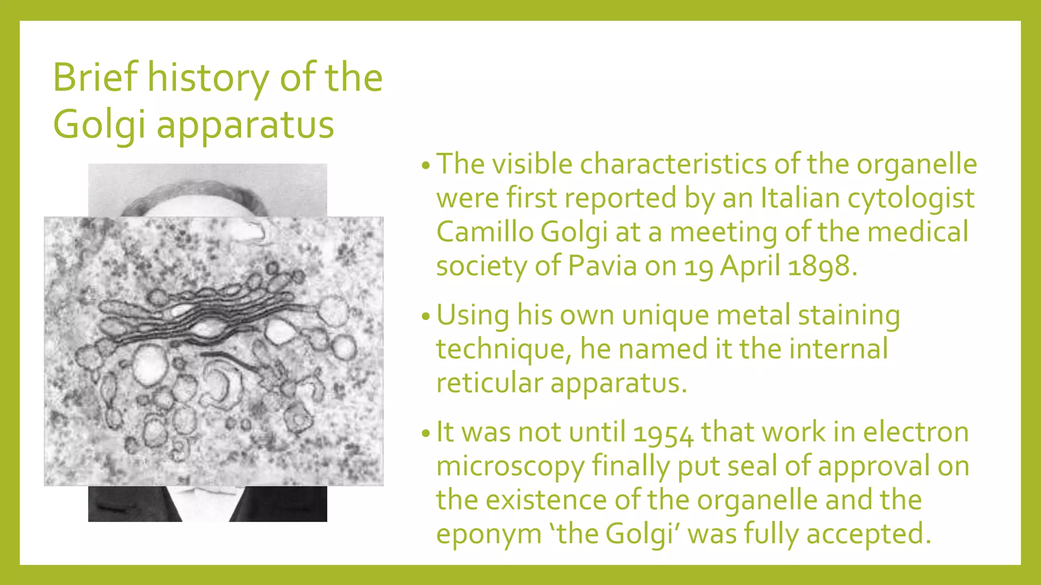 GOLGI APPARATUS.pptx