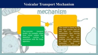 Golgi Apparatus, Structure, Function and Models of transport | PPTX