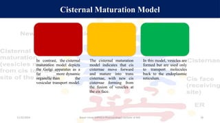 Golgi Apparatus, Structure, Function and Models of transport | PPTX