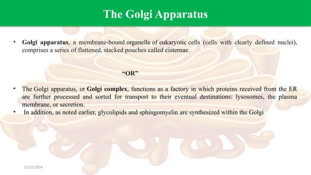 Golgi Apparatus, Structure, Function and Models of transport | PPTX