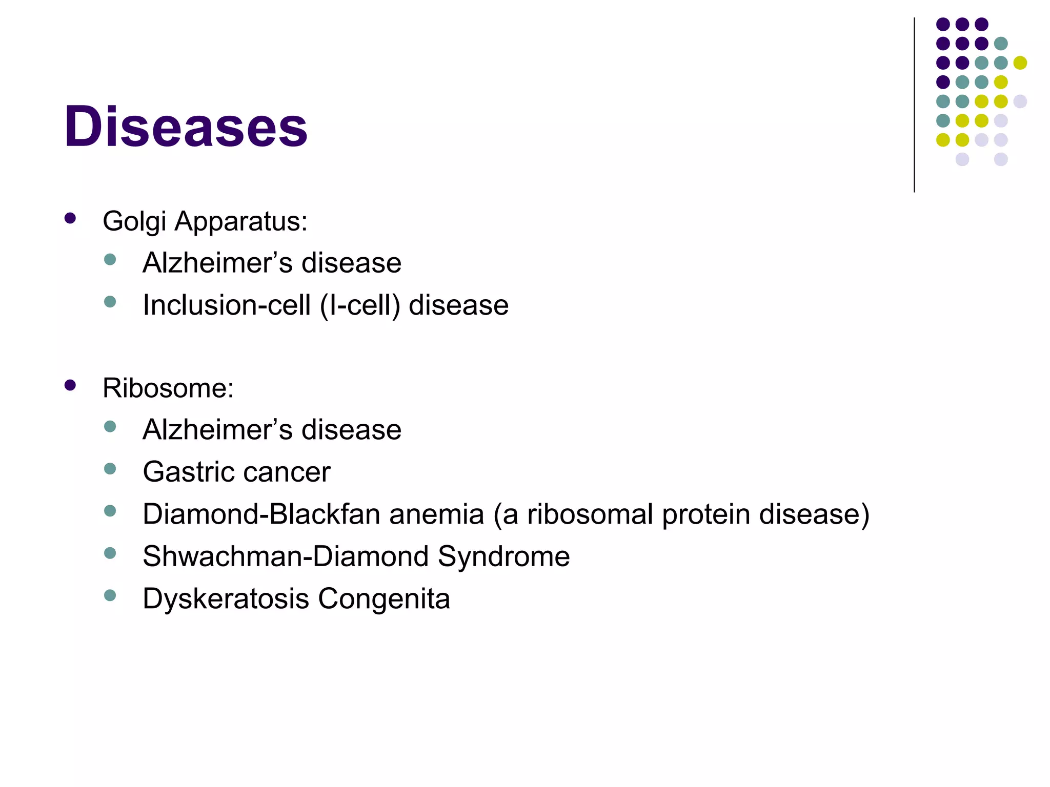 Golgi apparatus and ribosome | PPT