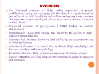 Golgi Apparatus & Lysosomes – Organization, Protein glycosylation ...