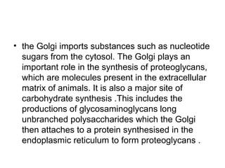 Golgi apparatus ppt | PPT