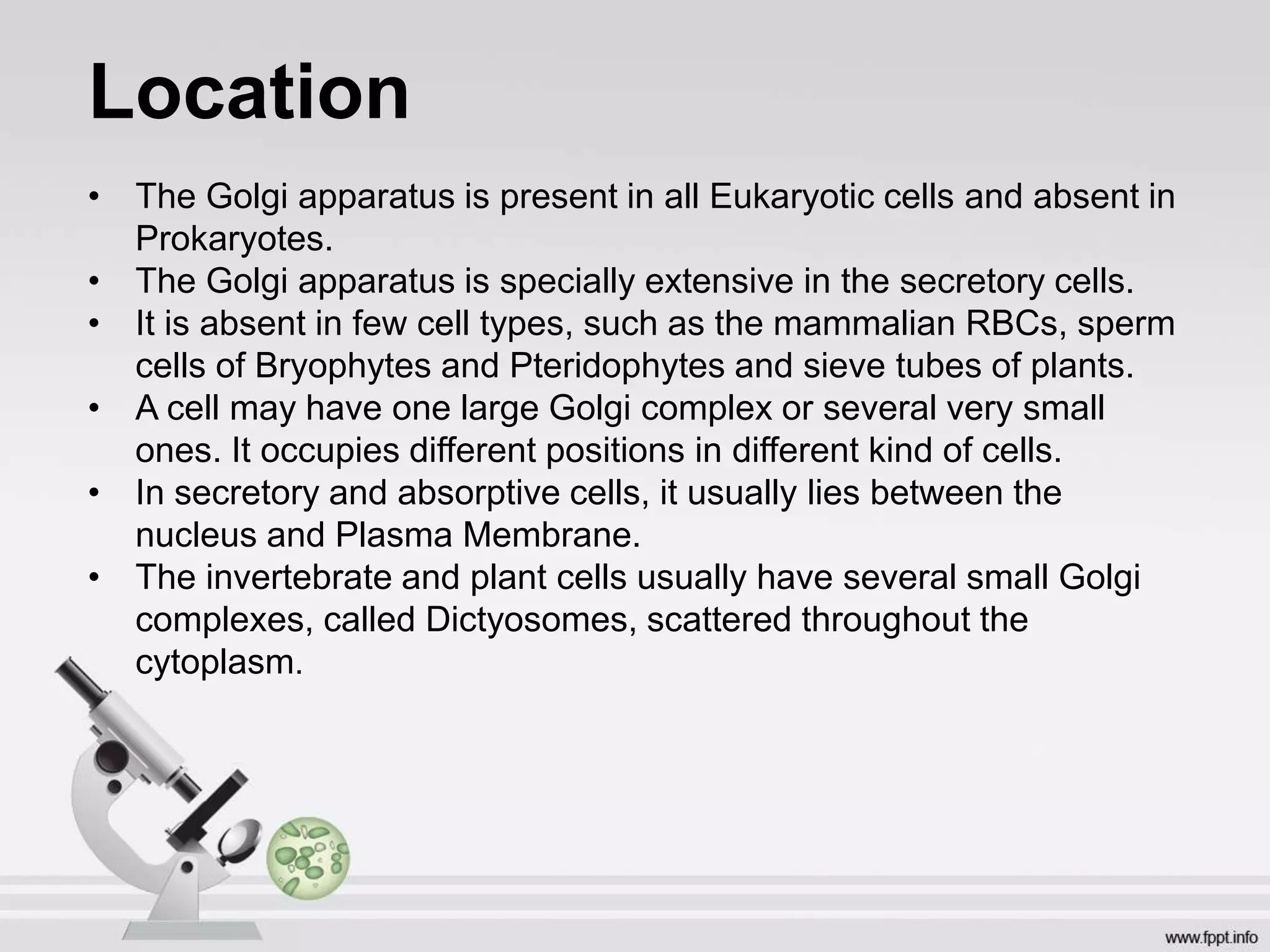 Golgi bodies | PPTX