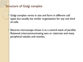 Golgi body for university Biochemistry.pptx