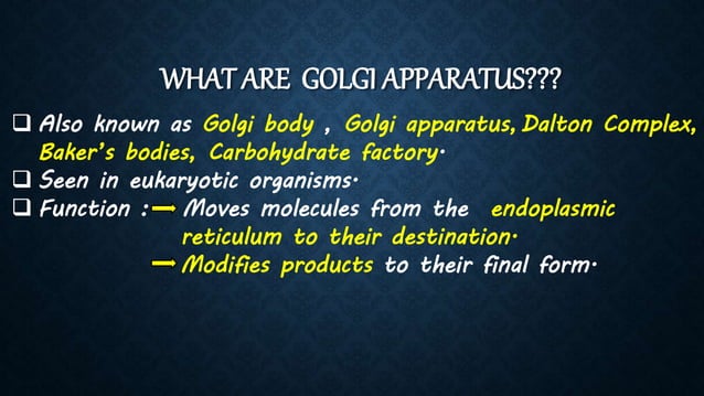 Golgi complex | PPT