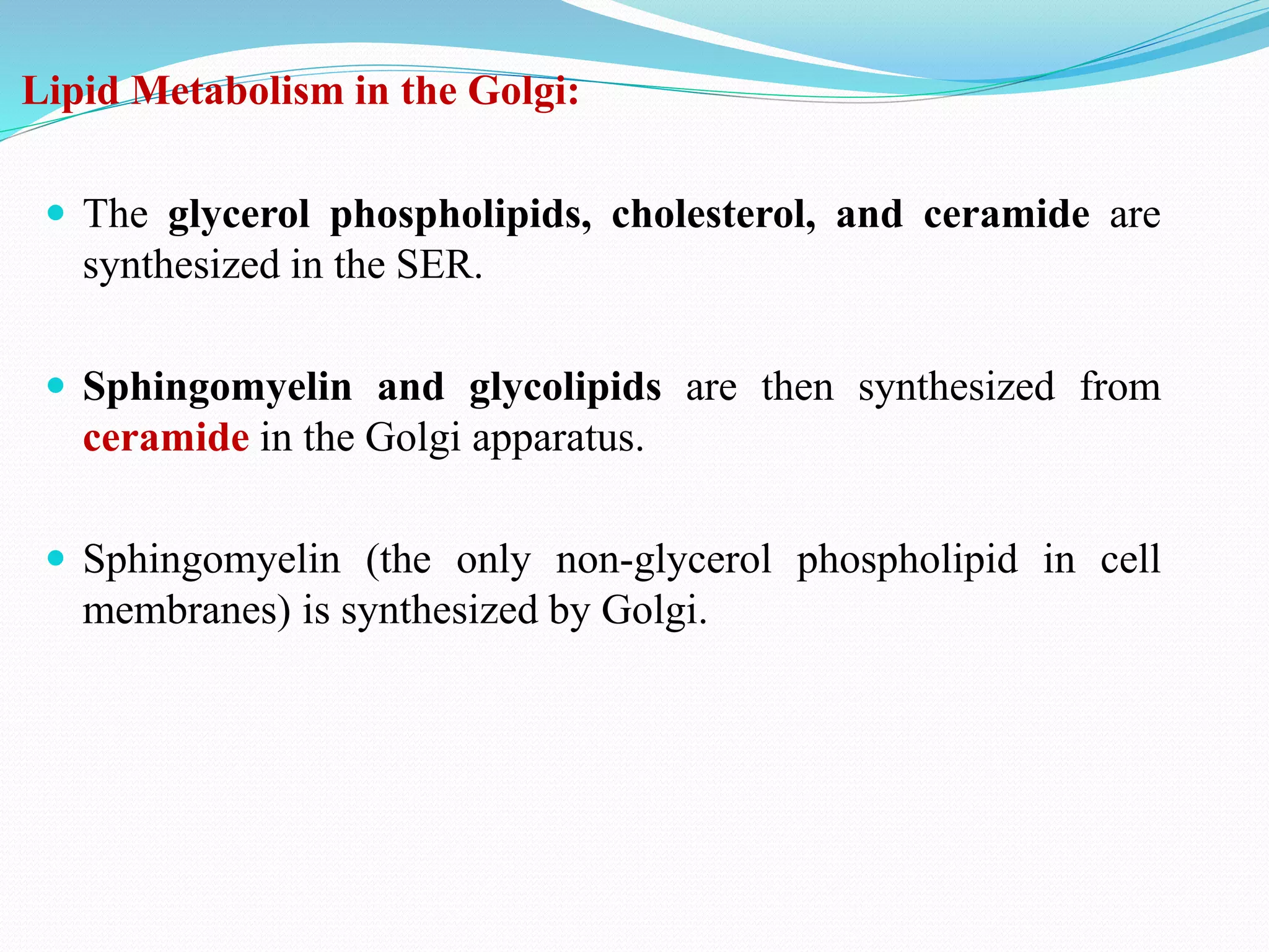 Golgi complex | PPTX