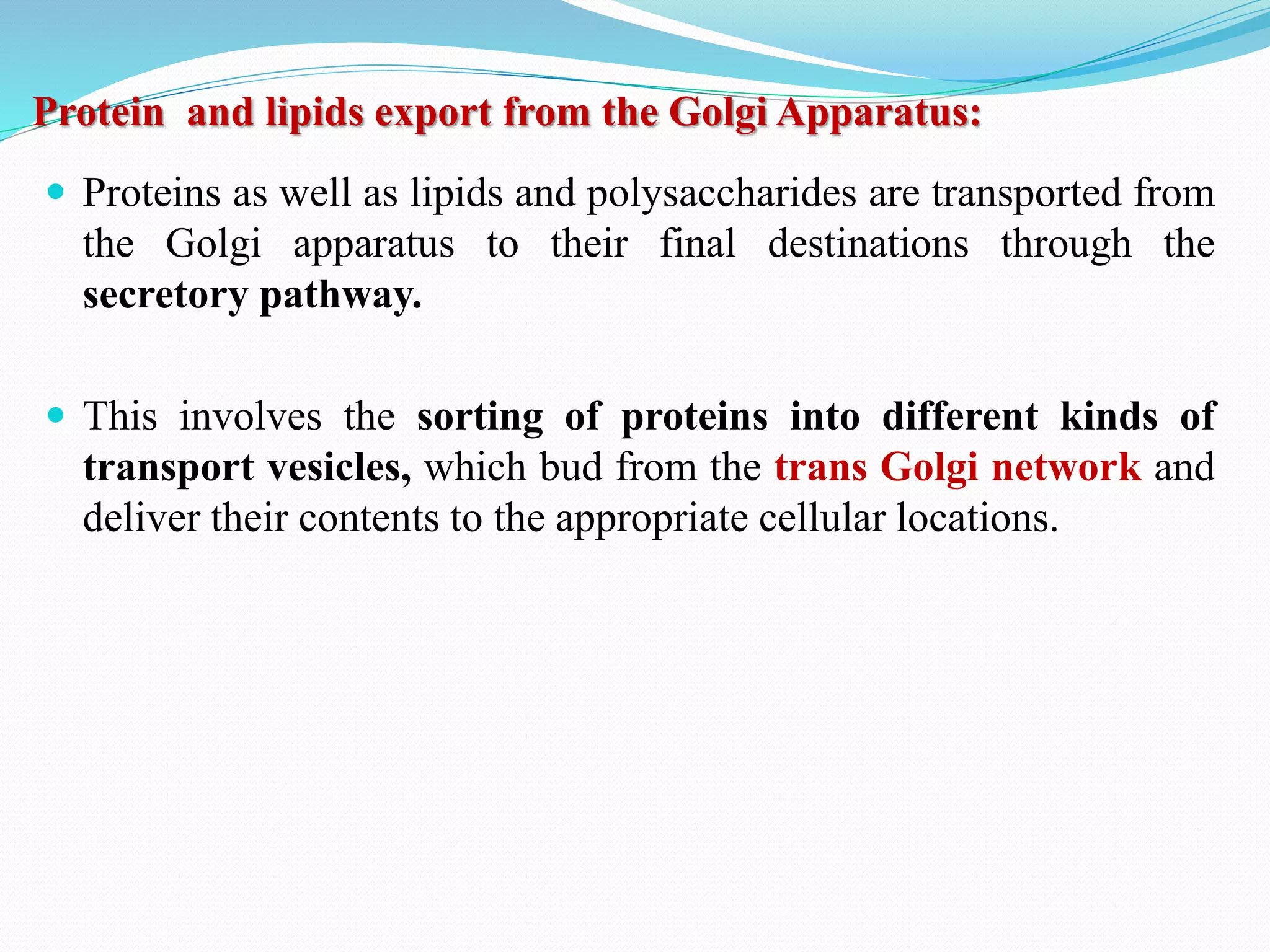 Golgi complex | PPT