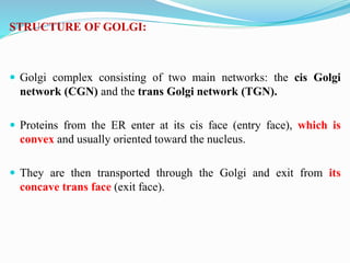 Golgi complex | PPTX
