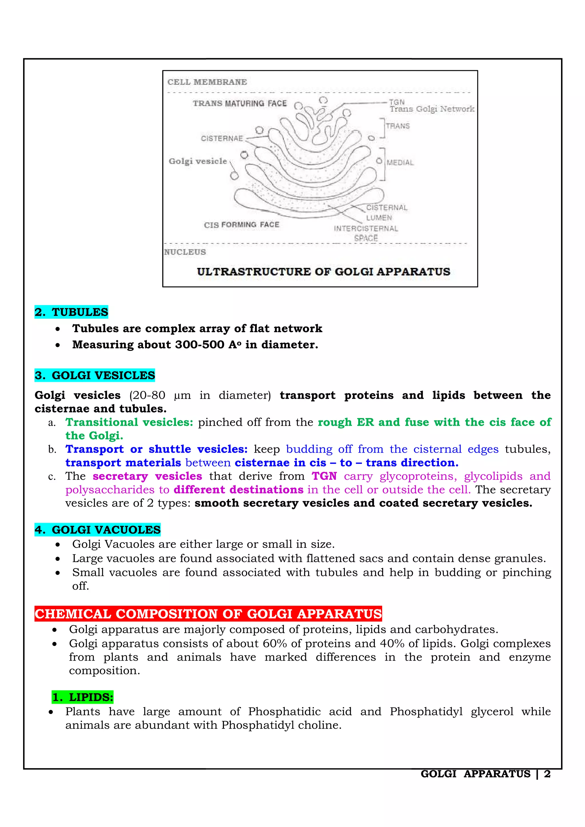 Golgi Complex Basics Pdf