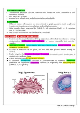 Golgi complex - Basics | PDF