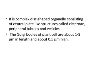 what is Golgi complex presentation..pptx