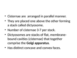 what is Golgi complex presentation..pptx