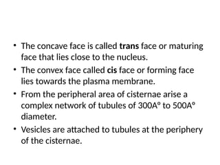 what is Golgi complex presentation..pptx