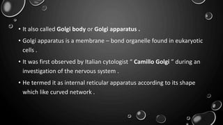 Golgi complex.pptx