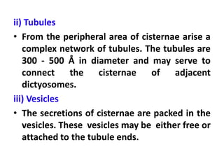 GOLGI APPARATUS, LYSOSOMES AND VACUOLES SMG | PPT