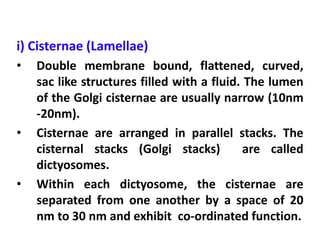 GOLGI APPARATUS, LYSOSOMES AND VACUOLES SMG | PPTX