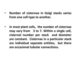GOLGI APPARATUS, LYSOSOMES AND VACUOLES SMG | PPT