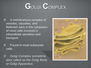 Golgi complex or golgi bodies | PPTX