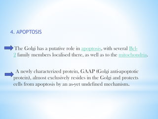 Golgi complex structure and function | PPTX