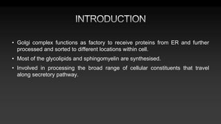 GOLGI_NAKSHATRA & FAIZAAN.pptx
