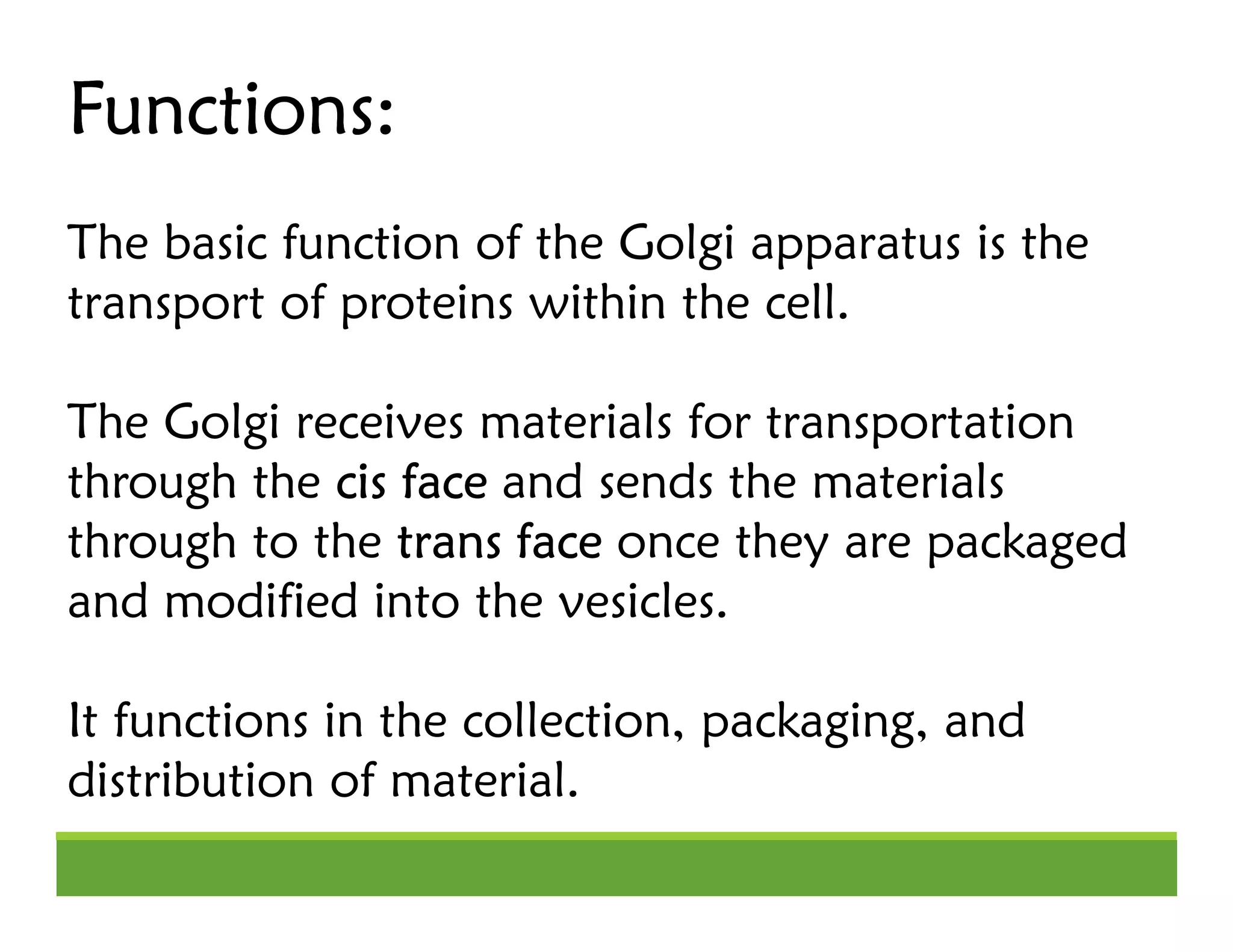 Golgi apparatus.pdf