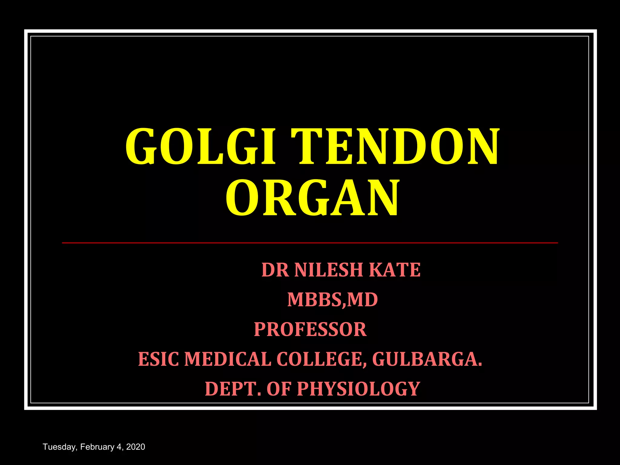 Golgi tendon organ | PPT