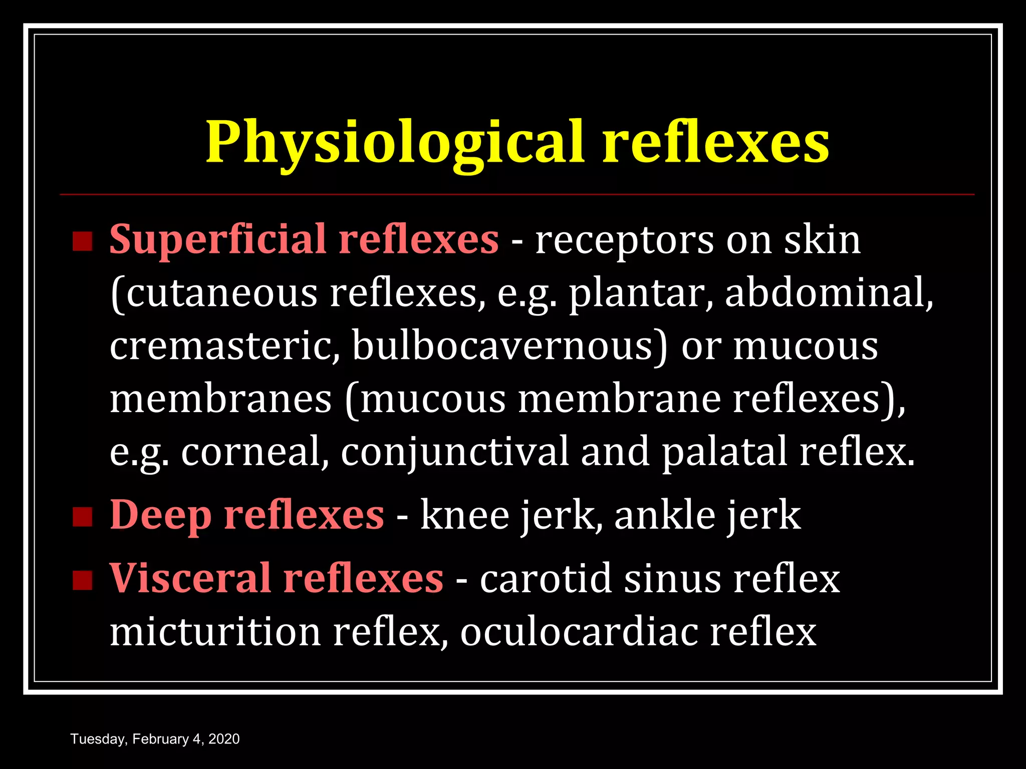 Golgi tendon organ | PPT