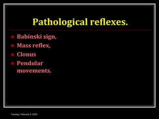 Golgi tendon organ | PPT