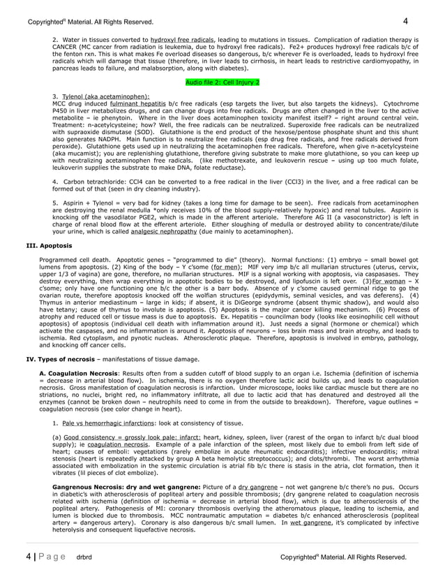 Goljan pathology audio transcripts | PDF