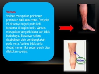Golongan Darah | PPTX