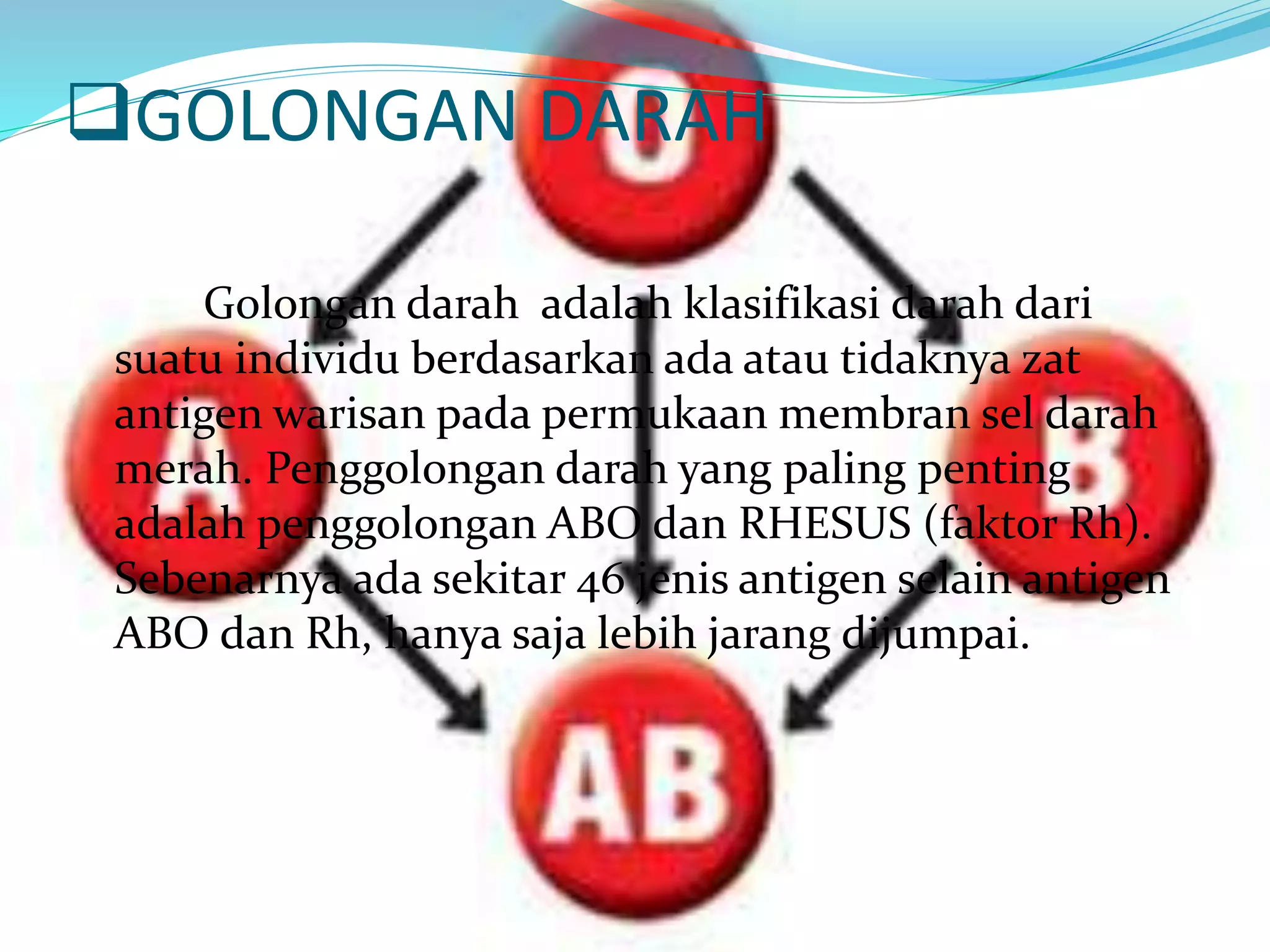 Golongan darah | PPTX