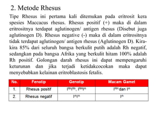 Golongan darah dan transfusi darah | PPTX