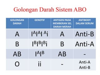 GOLONGAN DARAH MANUSIA DIKELOMPOKKAN MENJADI GOLONGAN DARAH A, B, DAN ...
